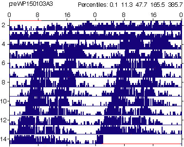 Big Brother | Actimetrics