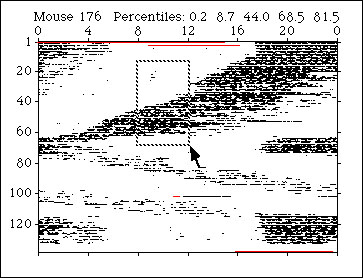 Zooming on the Actogram | Actimetrics