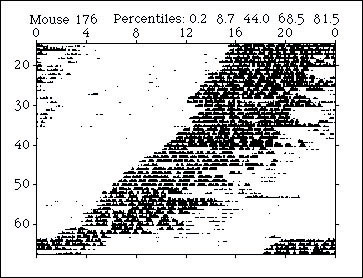 Zooming on the Actogram | Actimetrics