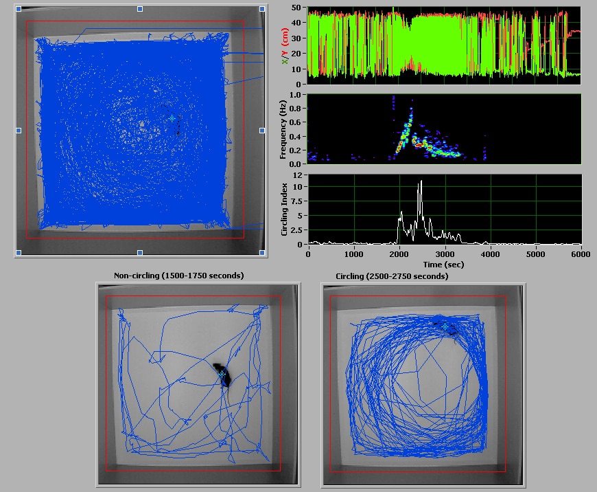 circling-analysis-actimetrics