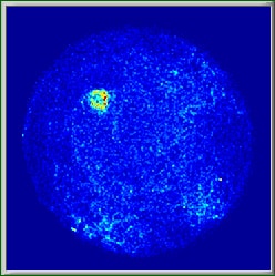 Density maps for Water Maze | Actimetrics