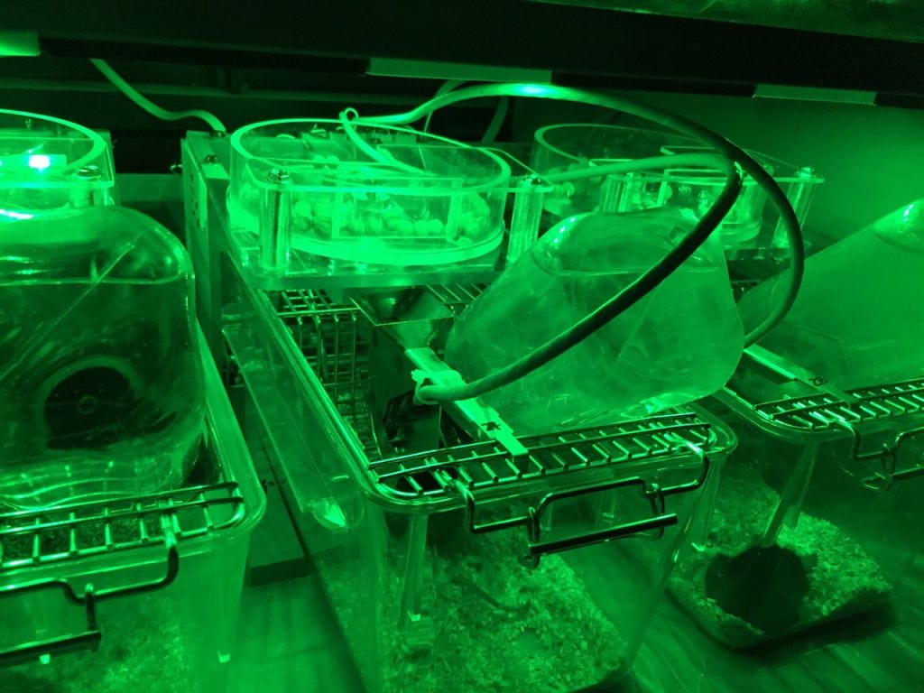 ClockLab Chamber Control | Actimetrics